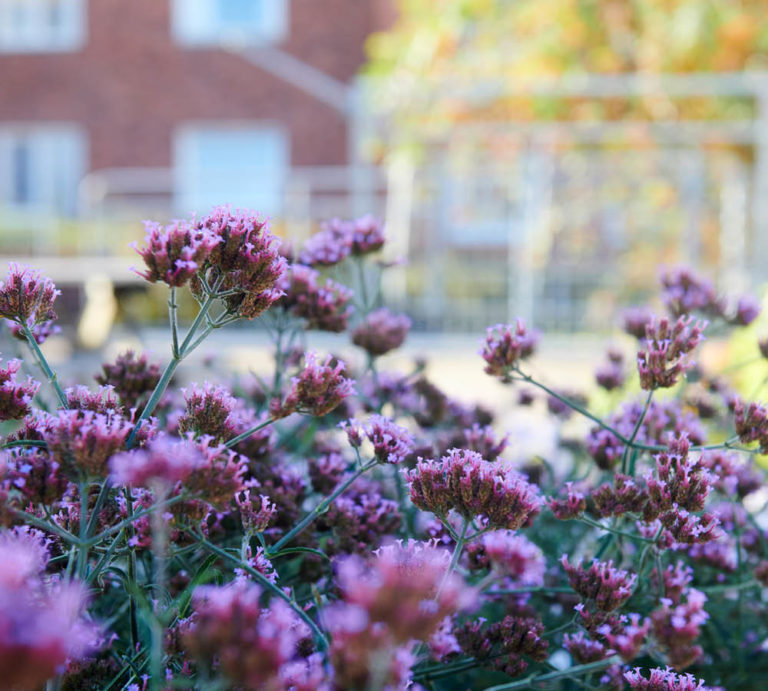 Om oss – Leeman & Olsson