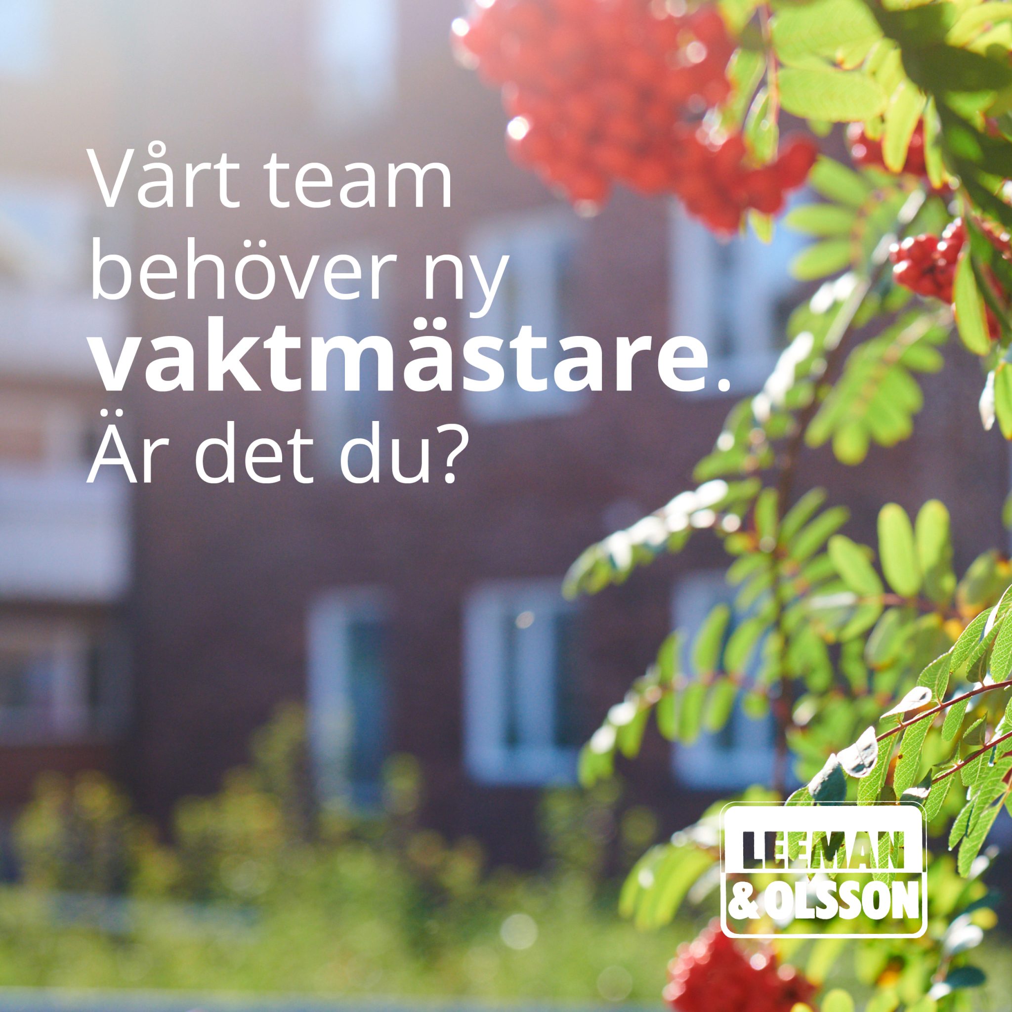 Bo bra nu och i framtiden – Leeman & Olsson